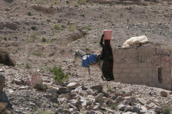 Options drying up for water-depleted Yemen - Features - Nature Middle East