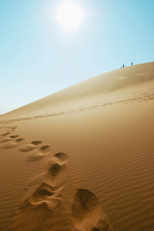 Desertec: An aborted project or just a change of direction? - Features ...