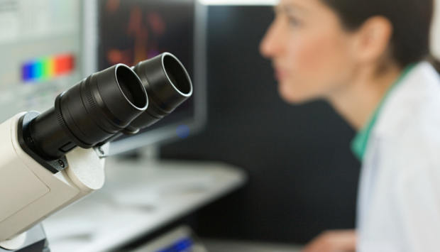 Science for disenfranchised youth - Features - Nature Middle East