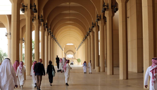 The rise of Saudi Arabia as a science powerhouse - Features - Nature ...