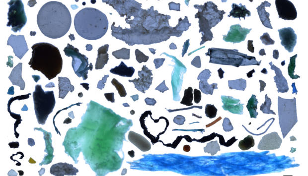Arctic garbage patch - Features - Nature Middle East