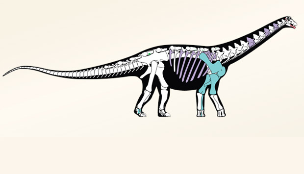 Near-perfect fossils of Egyptian dinosaur discovered in the Sahara ...