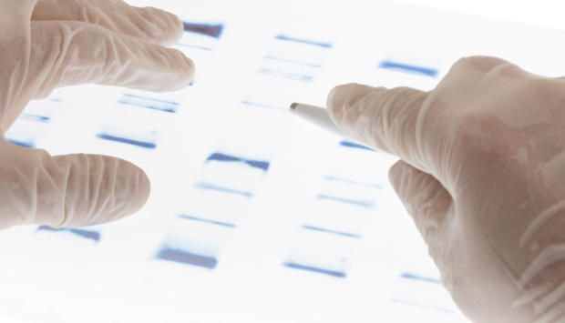 Oldest African human genomes sequenced - News - Nature Middle East