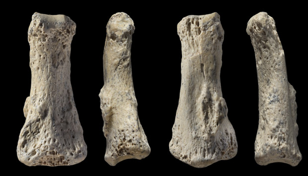 First human fossil in Arabia found - News - Nature Middle East