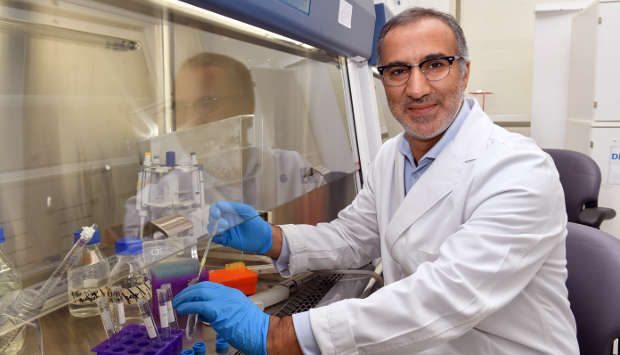 Bringing competitive biomedical research to emerging and developing ...