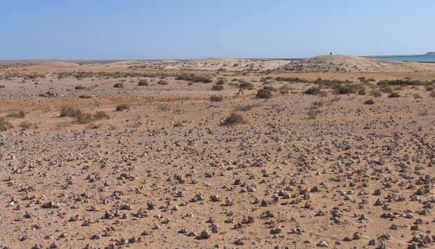 How much shellfish did ancient coastal societies actually eat? - News ...