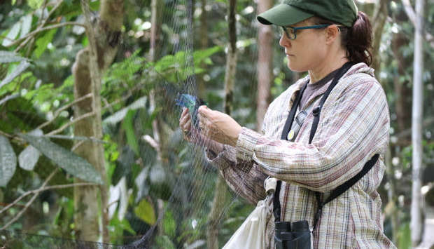 Detailed bird genome resource takes flight - Research Highlights ...