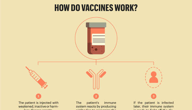 COVID-19 vaccines: Infographic overview - Features - Nature Middle East