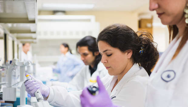 Arab science diaspora sets its sights back home - Features - Nature ...