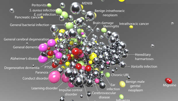 Human disease 'space' reveals condition similarities - News - Nature ...