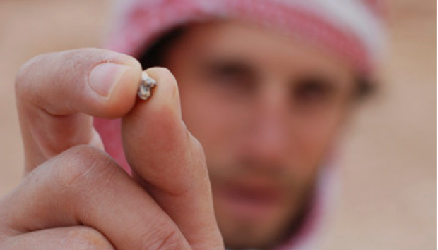 Fossil gives new insight on cheek-pouch monkeys - News - Nature Middle East