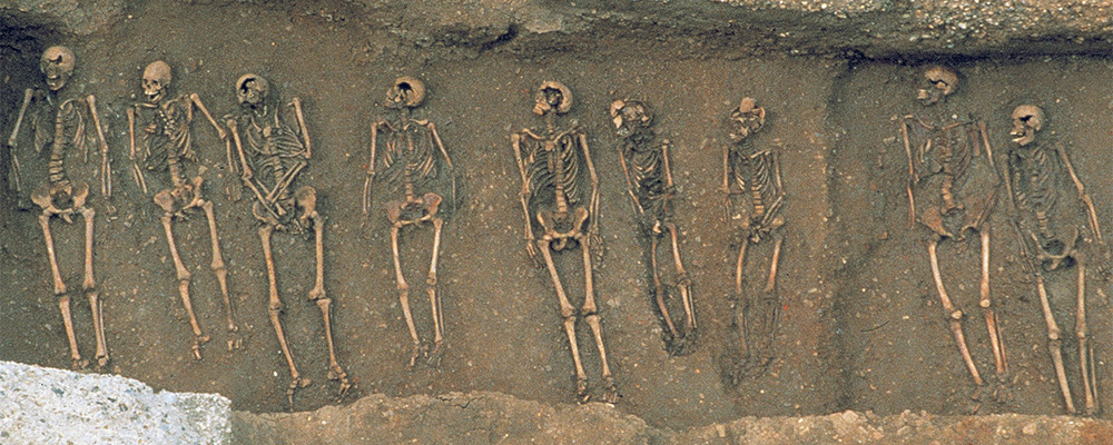 ペストの大流行による急速な自然選択 | Nature ダイジェスト | Nature Portfolio